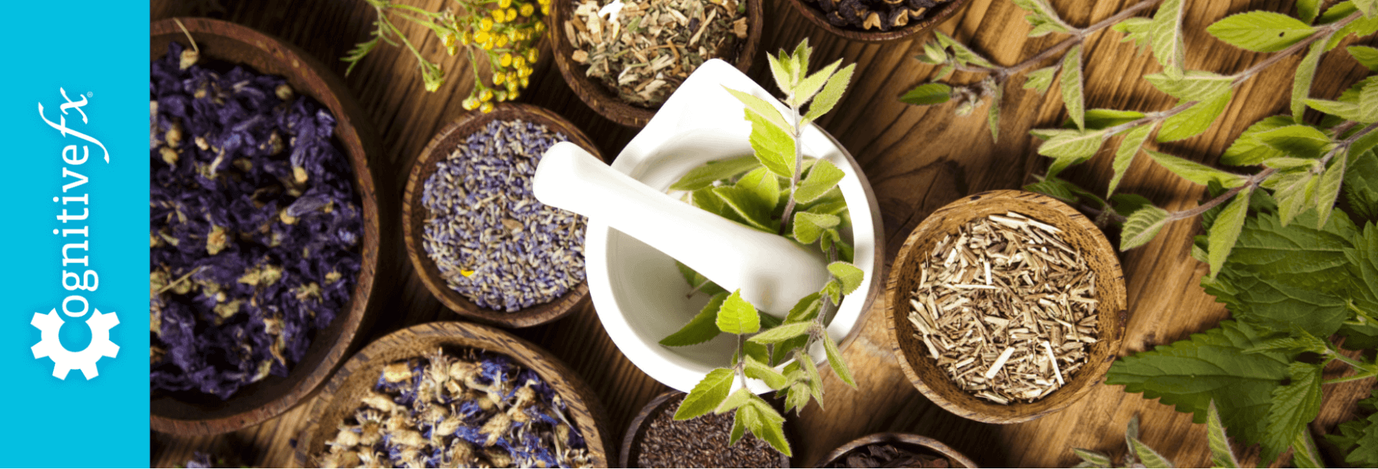 Best Natural Remedies For Post Concussion Syndrome Cognitive FX Best Natural Remedies For Post Concussion Syndrome Cognitive FX